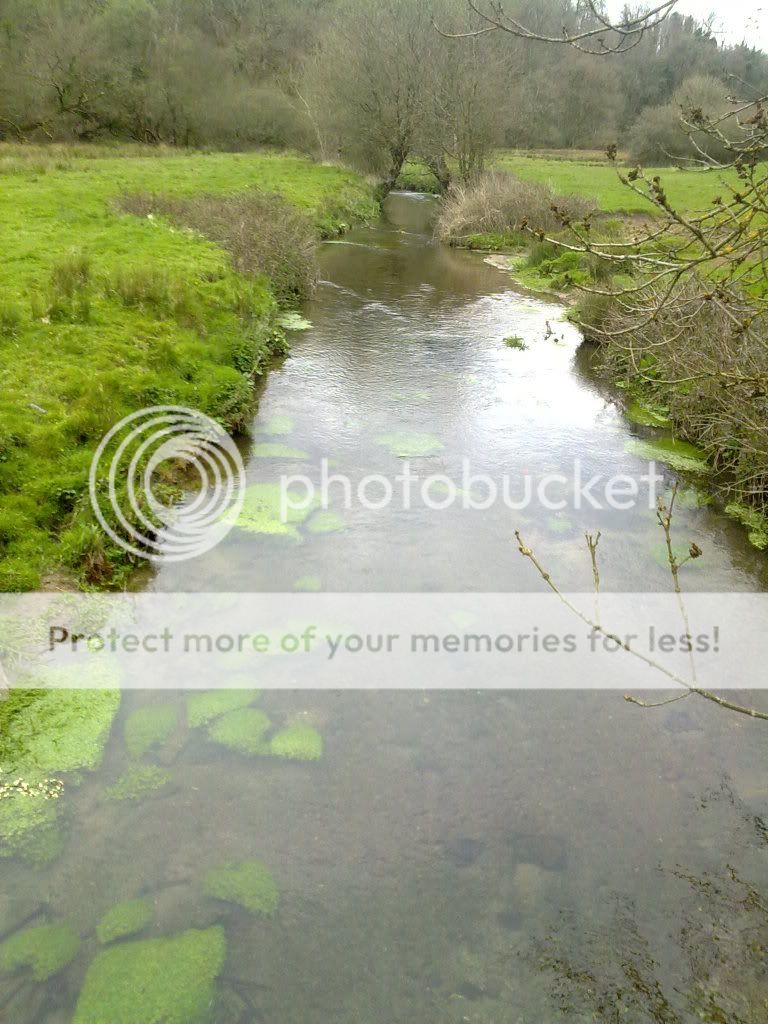 SMALL STREAMS of WALES ! | Fly Fishing Forum