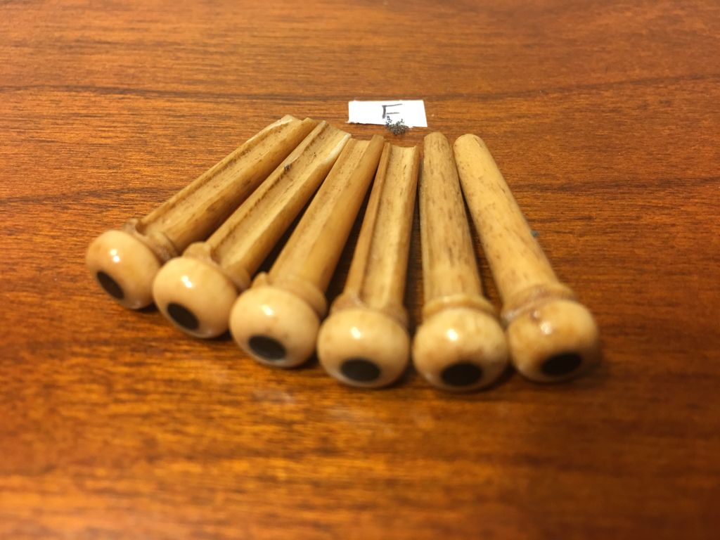 Fossilized Walrus Ivory Bridge Pin Sets - NEW PICTURES - The Acoustic ...