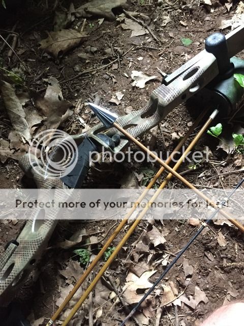 Border Tempest 19" Riser Review | Archery Talk Forum